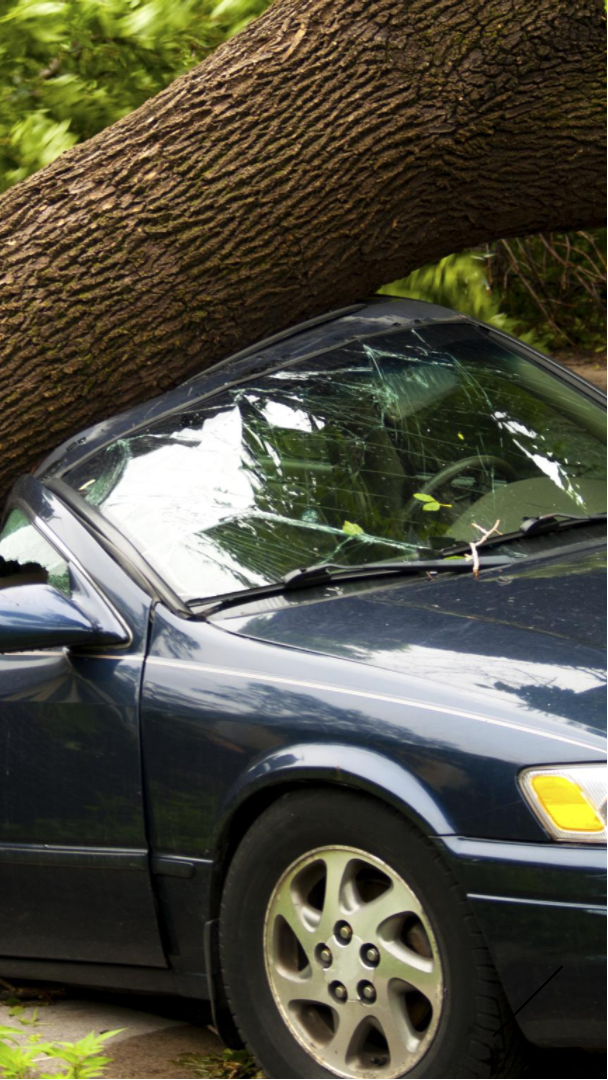 Why You Should Schedule With Sirucek Chiropractic Neurology Clinic ...